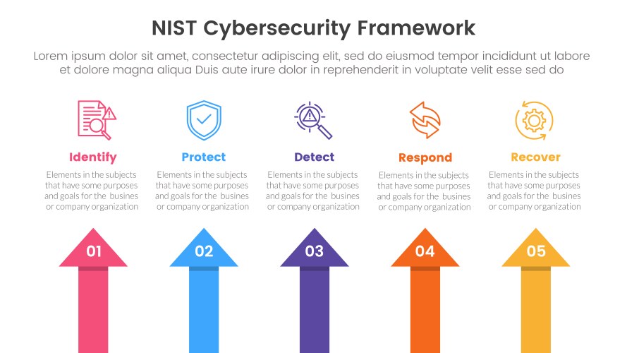 Nist cybersecurity framework infographic 5 point Vector Image