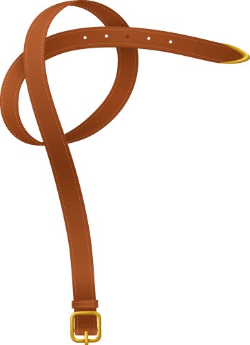 Belt Royalty Free Vector Image - VectorStock