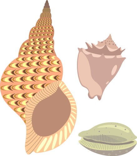 Clam shell color icon ocean coast fauna Royalty Free Vector