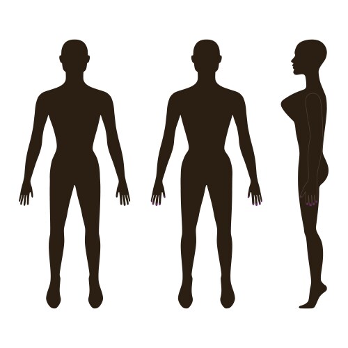 Body Outline Front Back Vector Images (over 8,900)