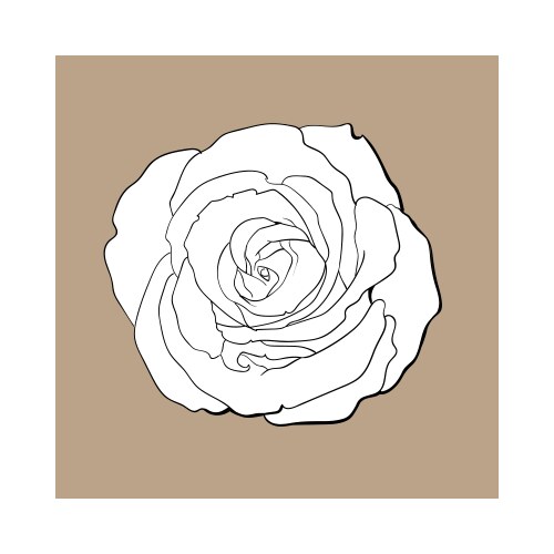 Deep pink rose top view isolated sketch Royalty Free Vector