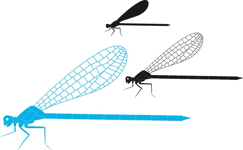 Dragonfly Vector Images (over 18,000)