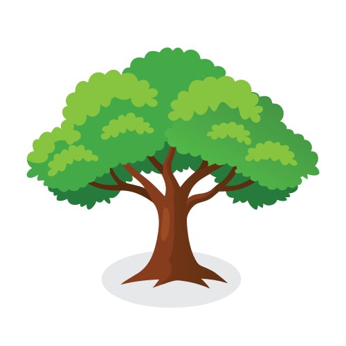Ash Tree Vector Images (over 5,400)