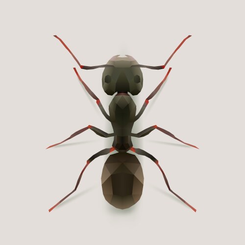 Ant Vector Images (over 18,000)