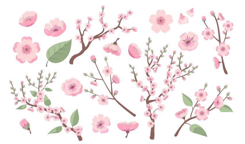 Sakura Vector Images (over 34,000)