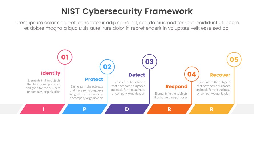 Nist cybersecurity framework infographic 5 point Vector Image