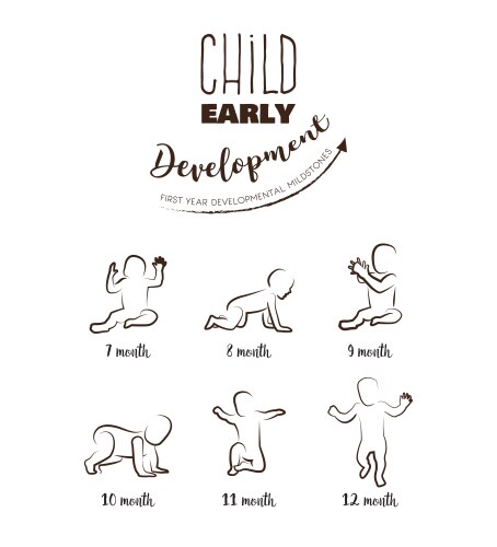 Baby development stages milestones first one year Vector Image