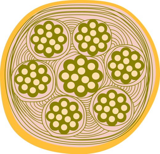 Structure of tendon infographics on isolated Vector Image