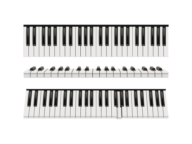 Realistic piano keys set musical instrument Vector Image