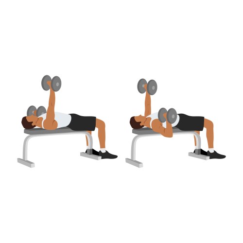 Dumbbell Bench Press Vector Images (over 720)
