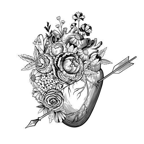 Pencil drawing of a human heart in retro style Vector Image