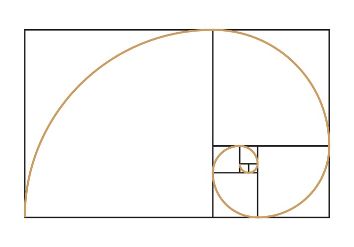 Golden ratio template fibonacci Royalty Free Vector Image