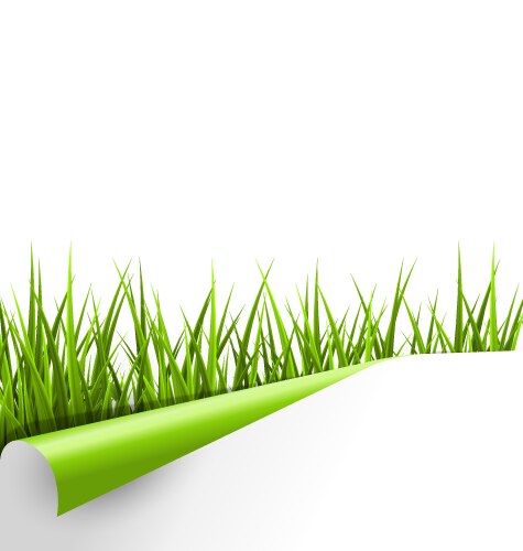 Grass and paper Royalty Free Vector Image - VectorStock