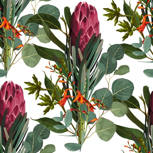 Protea Vector Images (over 1,700)