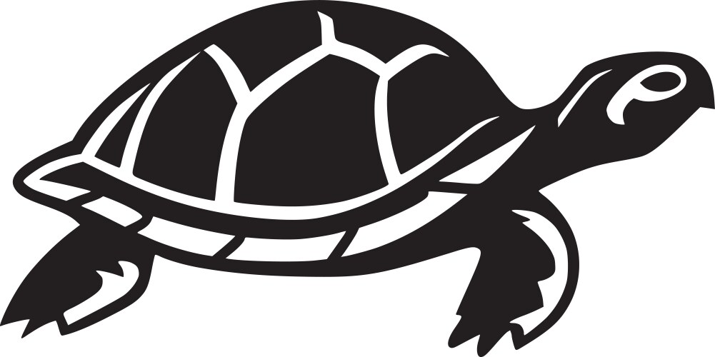 Turtle Outlines Vector Images (over 6,700)