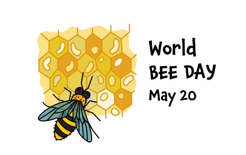 World bee day in may international event Vector Image