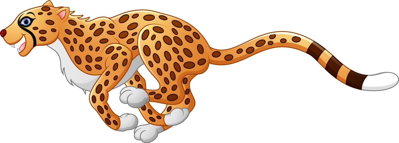 Cartoon cheetah running Royalty Free Vector Image