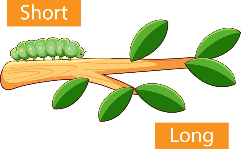 Opposite adjectives long and short Royalty Free Vector Image