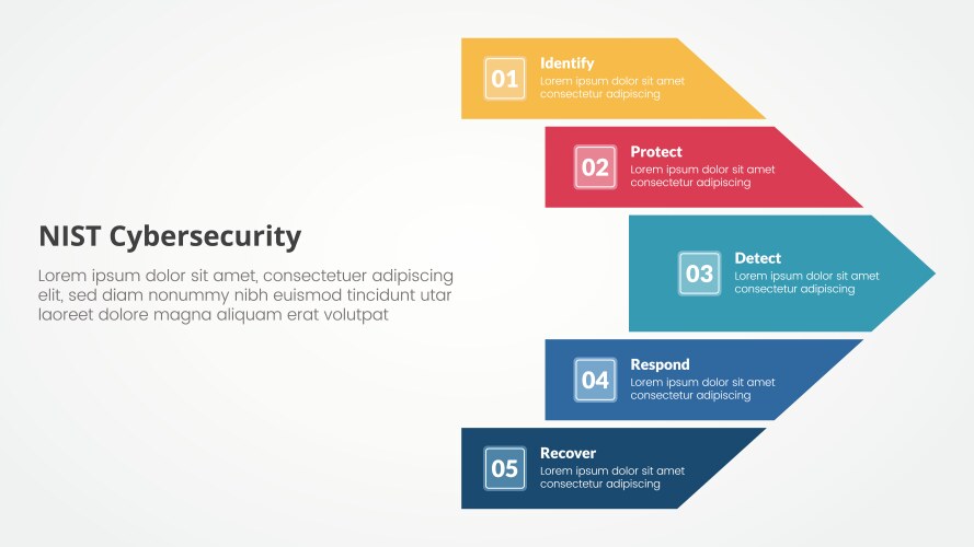 Nist cybersecurity framework infographic concept Vector Image