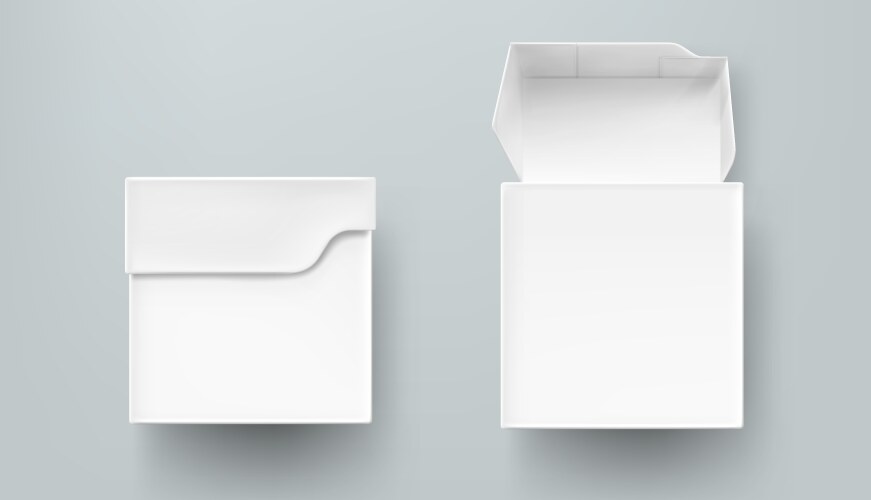 Top view open cardboard box mockup isolated Vector Image