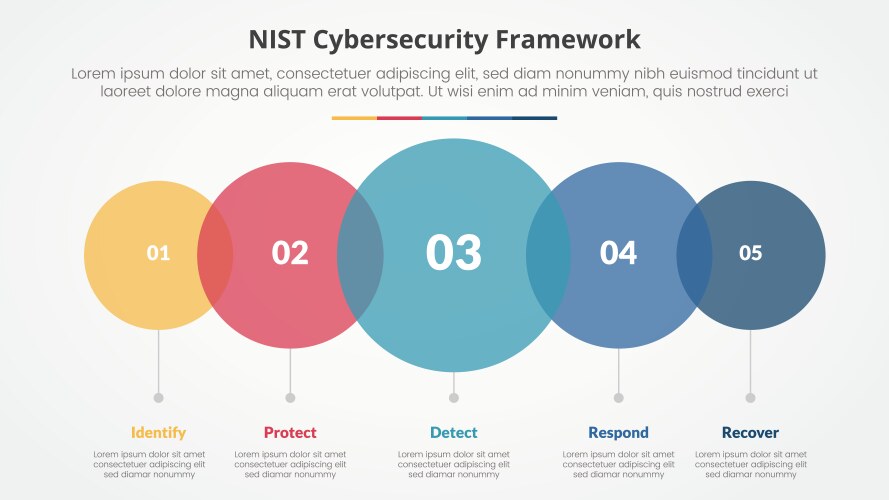 Nist cybersecurity framework infographic concept Vector Image