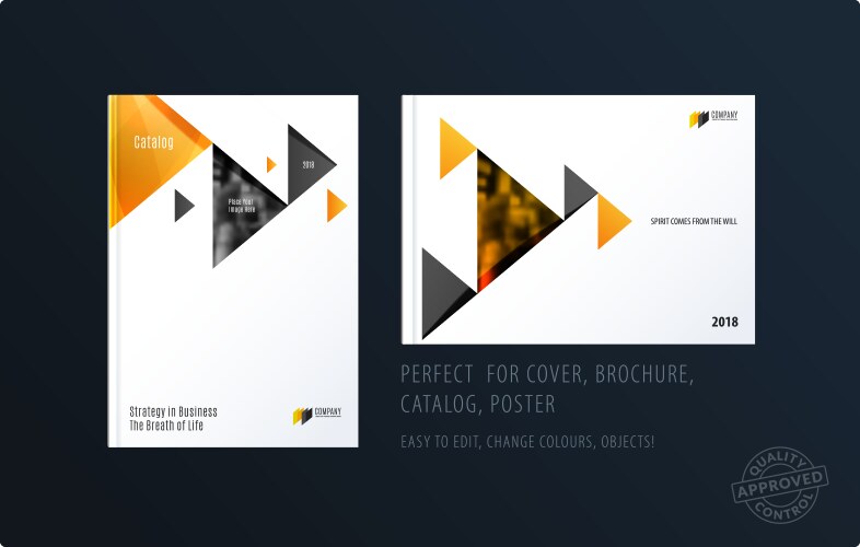 Brochure design triangular template colourful Vector Image