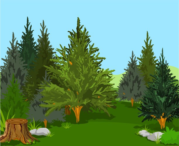 Forest Vector Images (over 670,000)