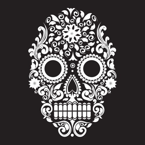 Two faced skull Royalty Free Vector Image - VectorStock