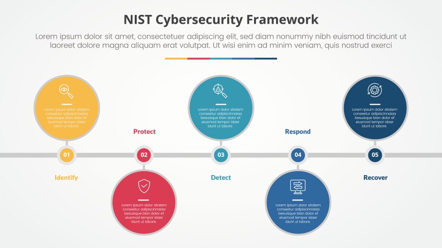 Nist cybersecurity framework infographic concept Vector Image
