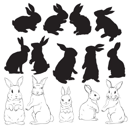 Jumping Rabbit Silhouette Vector Images (over 2,500)