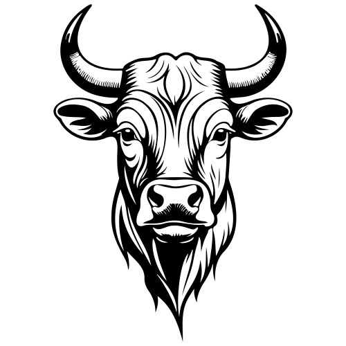 Bull hand drawn line transparent background Vector Image
