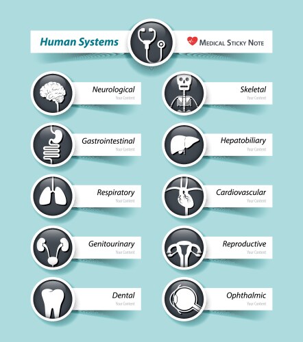 Neurological system and medical line icon Vector Image