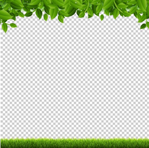 Transparent Border Vector Images (over 49,000)
