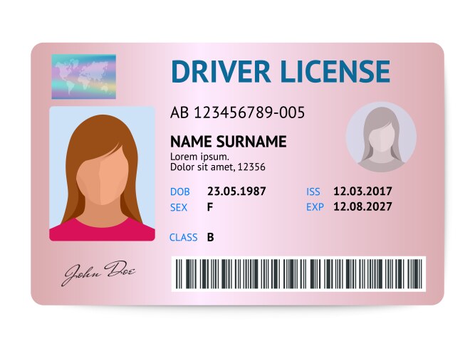 Driver license concept Royalty Free Vector Image