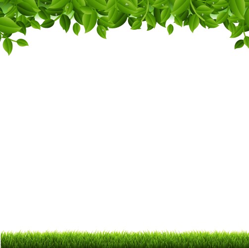 Green border Vector Images & Graphics for Commercial Use | VectorStock