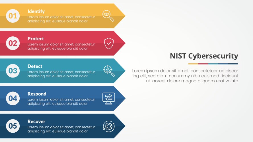 Nist cybersecurity framework infographic concept Vector Image