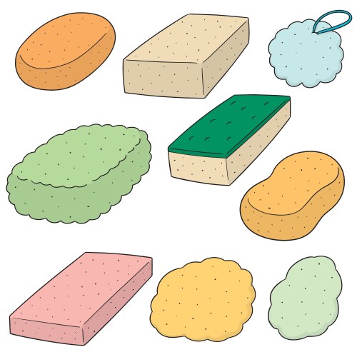 Set sponge Royalty Free Vector Image - VectorStock