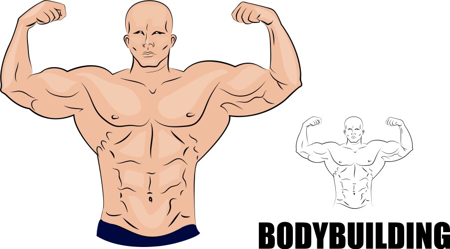 Athlete bodybuilder Royalty Free Vector Image - VectorStock