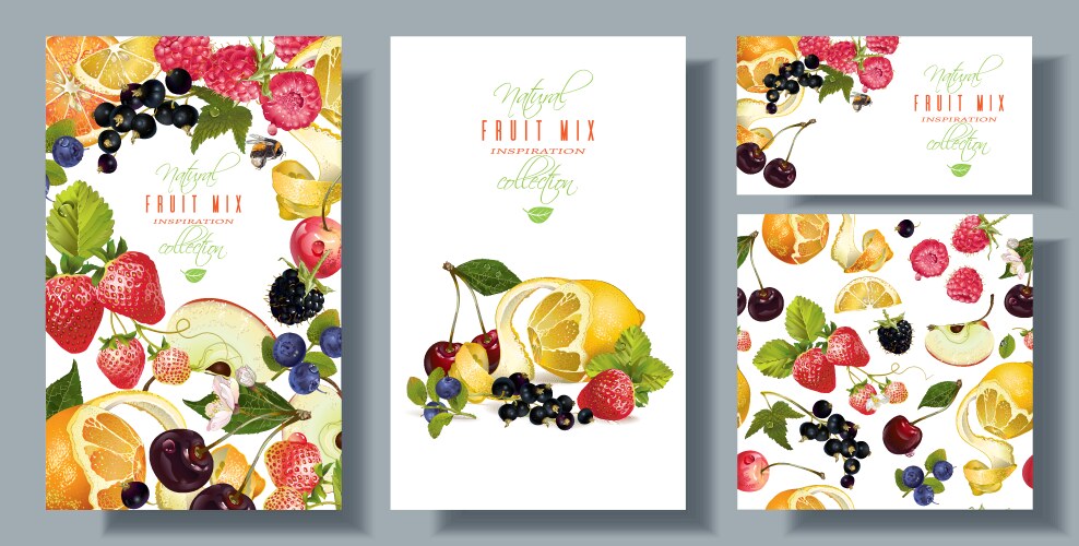 Fruit and fresh berry banner template set design Vector Image