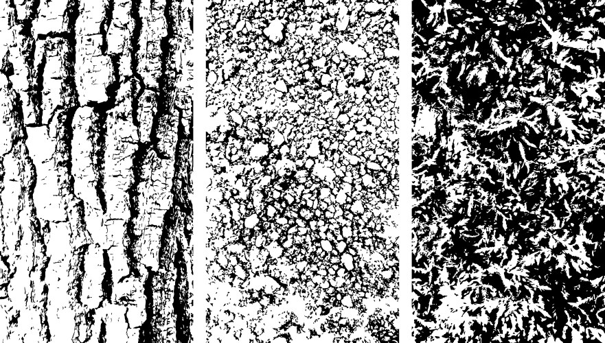 Bark Vector Images (over 20,000)