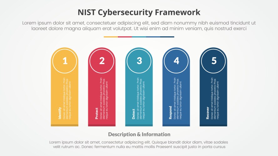 Nist cybersecurity framework infographic concept Vector Image