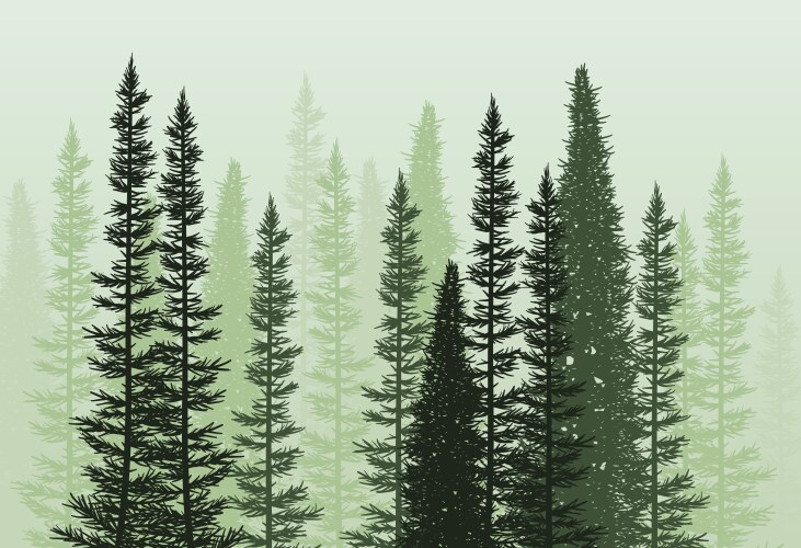 Pine forest and mountains backgrounds Royalty Free Vector
