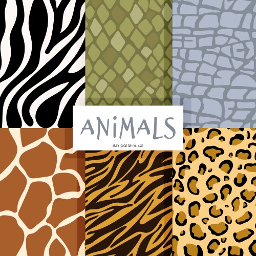 Animal skin patterns Royalty Free Vector Image