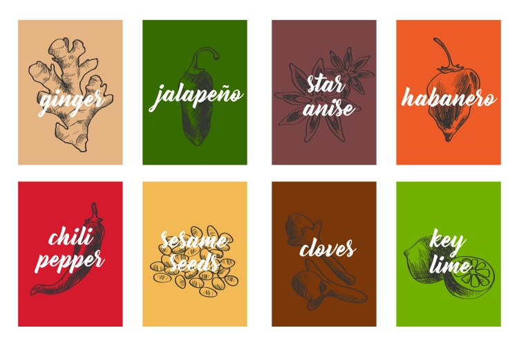 Cooking Spices Vector Images (over 67,000)