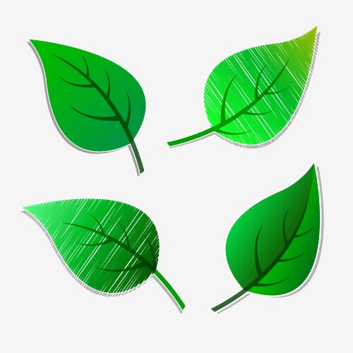 Two green leaves cartoon icon Royalty Free Vector Image