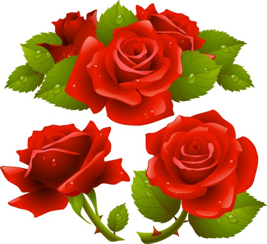 Roses Vector Images (over 290,000)