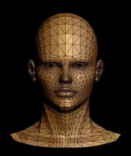 Human Head Vector Images (over 340,000)