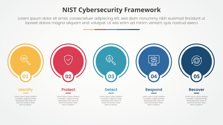 Nist cybersecurity framework infographic concept Vector Image
