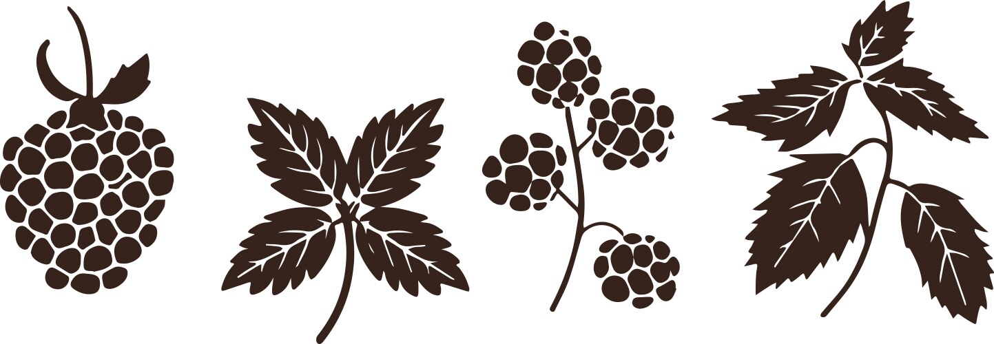 Raspberry Silhouette Vector Images (over 1,600)