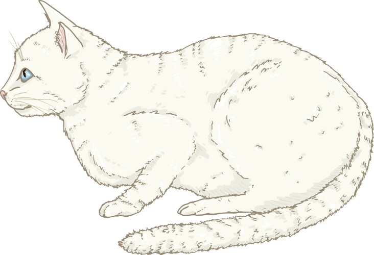 Cartoon set cats different feline poses Royalty Free Vector